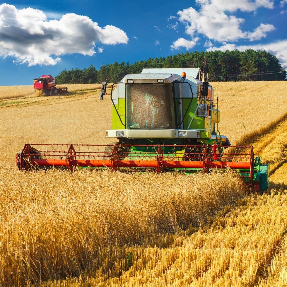 Landing - 2nd Look auctions